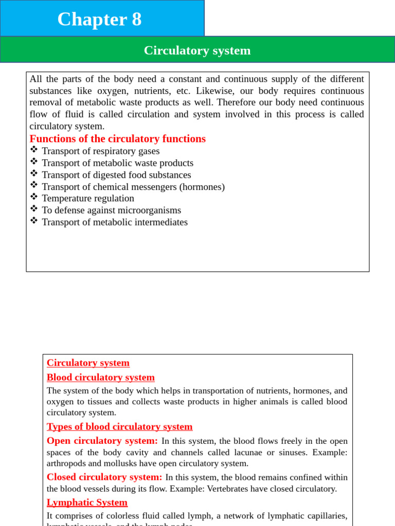 Circulatory System 1 | PDF | Atrium (Heart) | Ventricle (Heart)