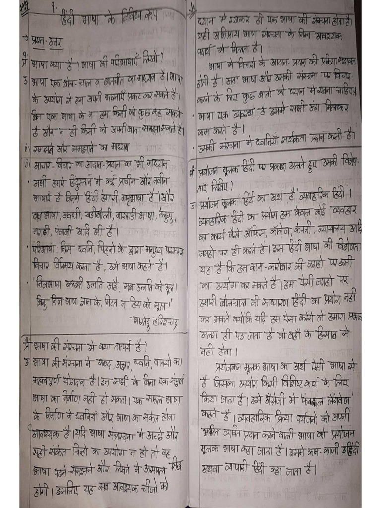 HINDI NOTES 5th Sem Qa | PDF | Business | Computers