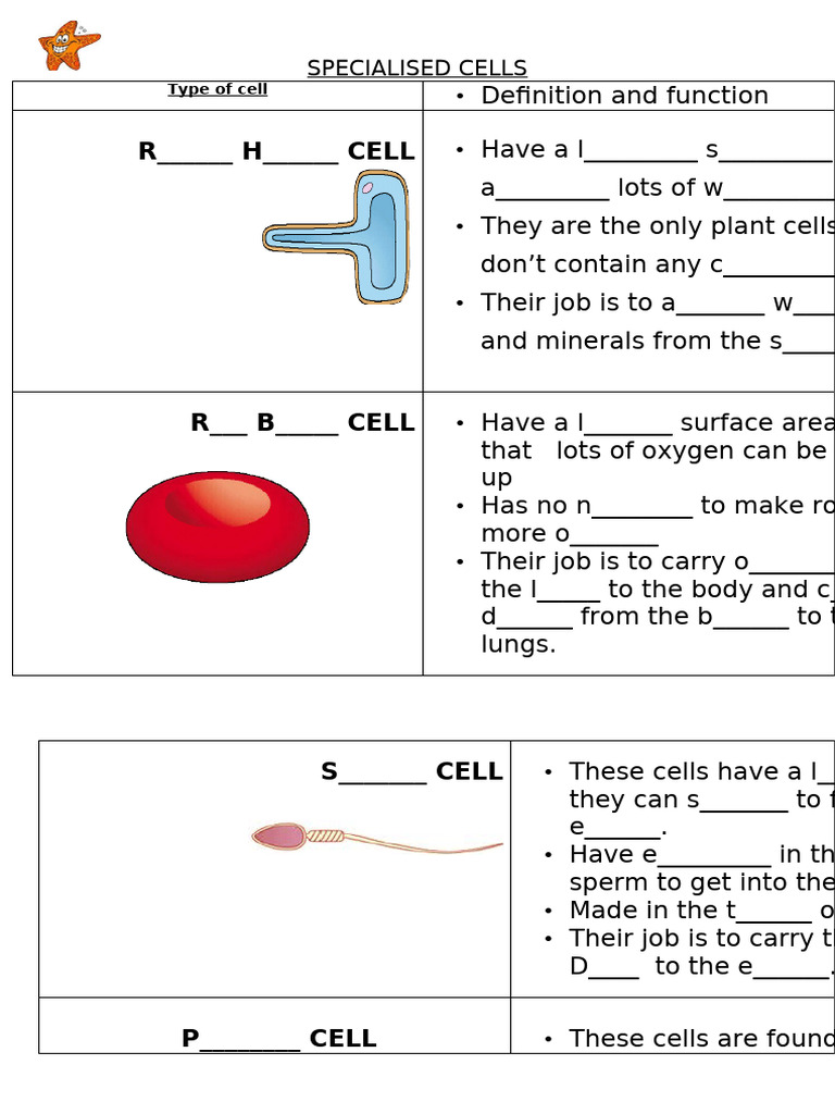 Specialised - Cells Assignment | PDF | Wellness
