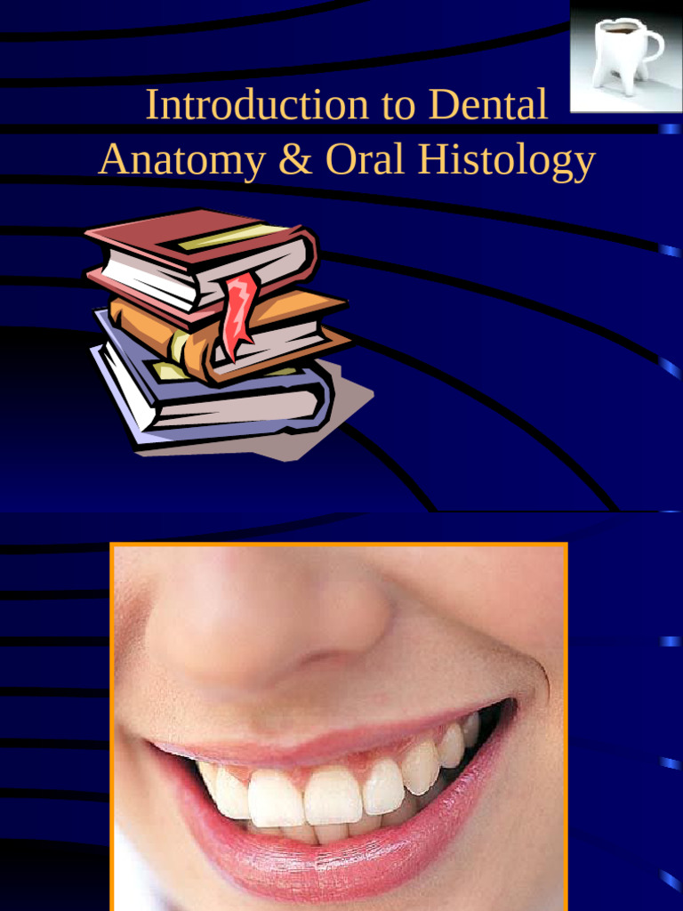 Introduction To Dental Anatomy | PDF | Dental Anatomy | Tooth