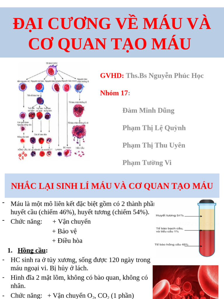 17.7 General Blood Blood-Forming Organs | PDF