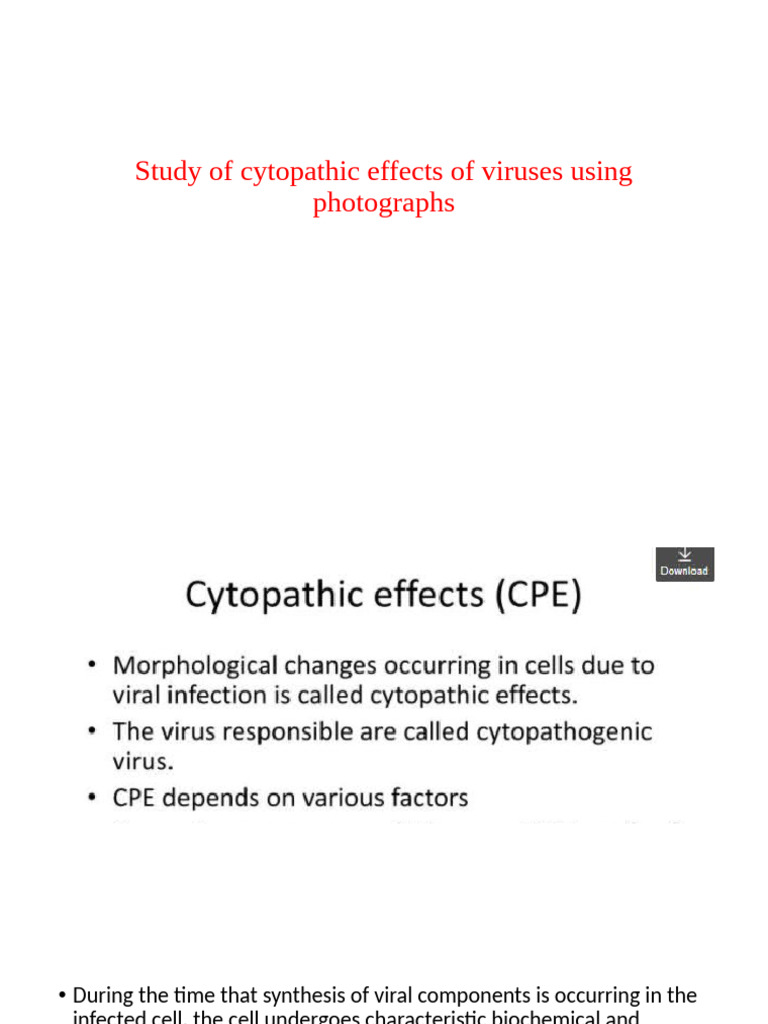 Cytopathic Effects | PDF | Anatomy | Medical Specialties