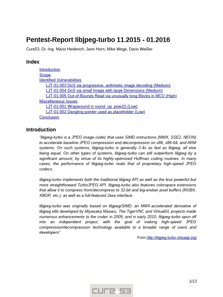 libjpeg-turbo Vulnerability Audit Report | PDF | Pointer (Computer ...