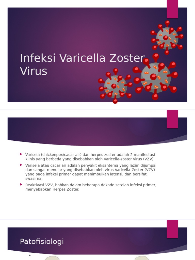Infeksi Varicella Zoster Virus | PDF