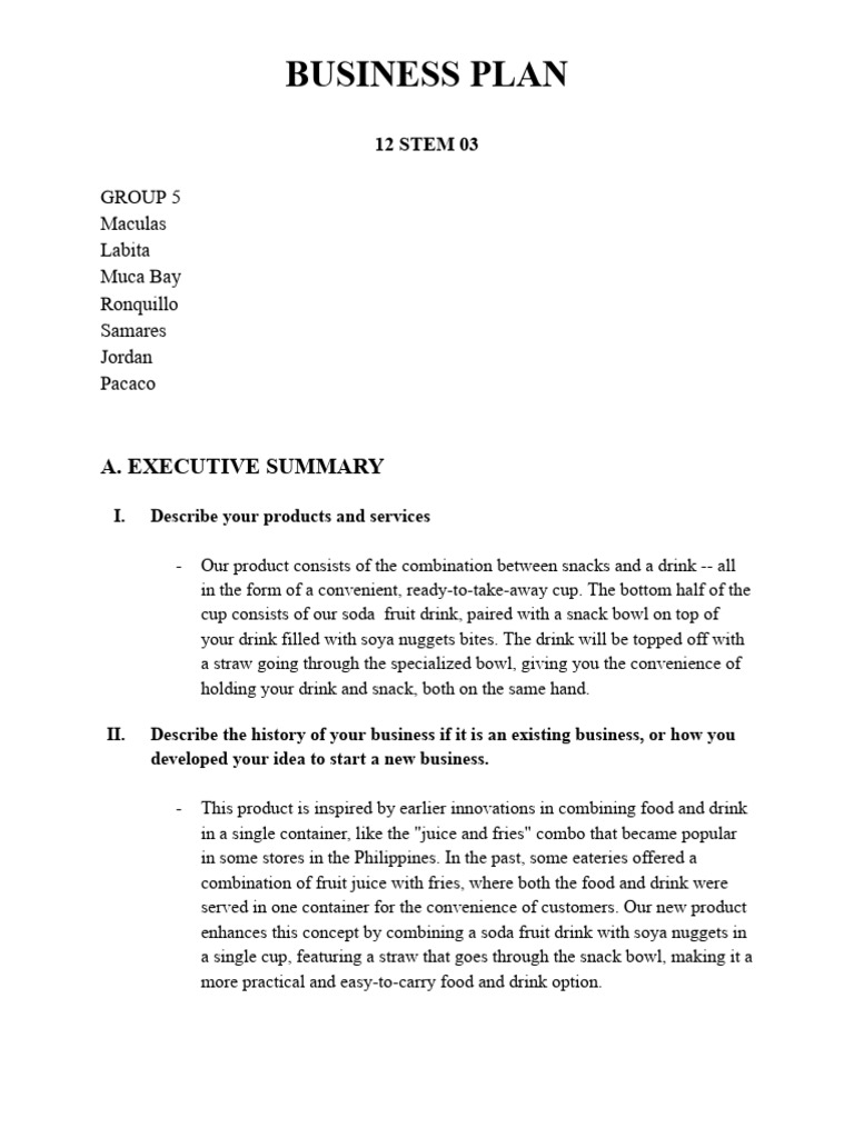 Business Plan Pdf Brand Marketing