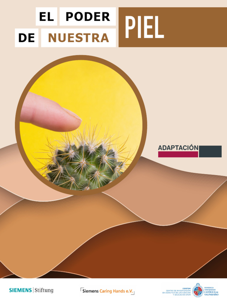 Experimento sobre la Piel y Sensibilidad | PDF | Agua | Dermatología