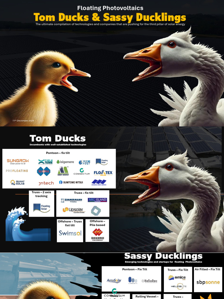 Tom Ducks & Sassy Ducklings | PDF | Sustainable Energy | Photovoltaics