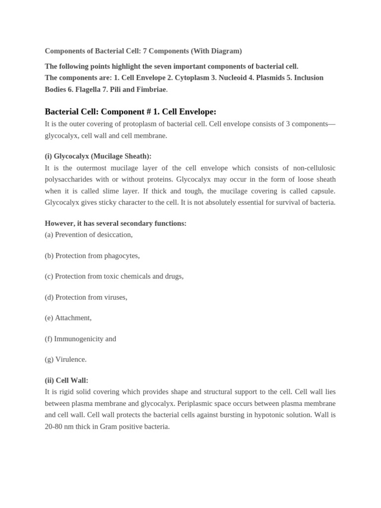 Bacterial Cell Components Explained | PDF | Cell (Biology) | Bacteria