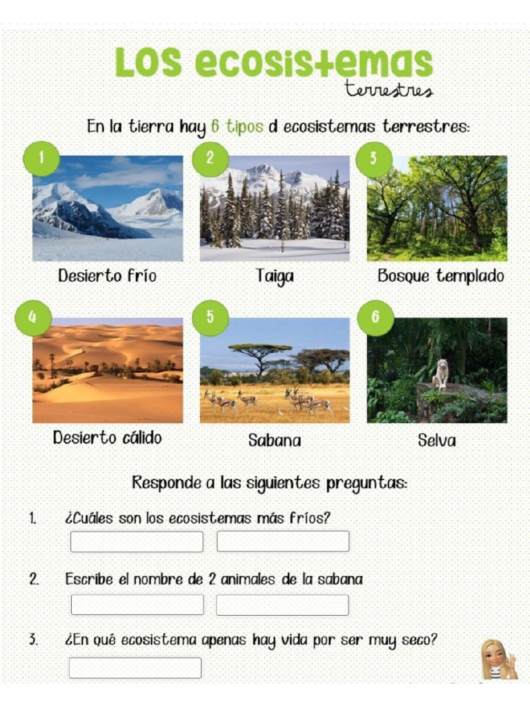 Actividad CCNN | PDF