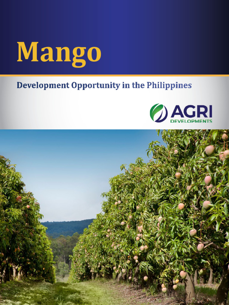 Mango Brochure | PDF | Foreign Direct Investment | Mango