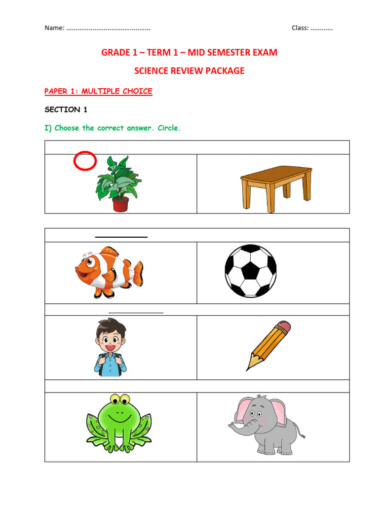 Science Revision Package - Grade 1 - Mid Term 1 Test | PDF | Mammals | Fish