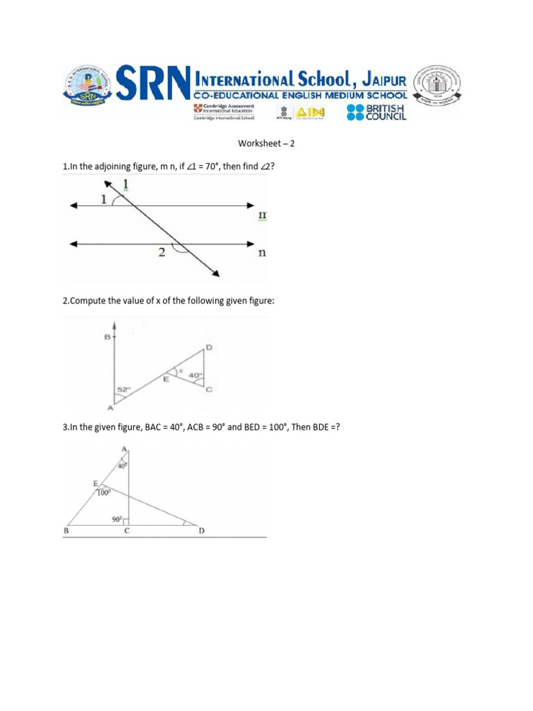 Grade IX Worksheet | PDF