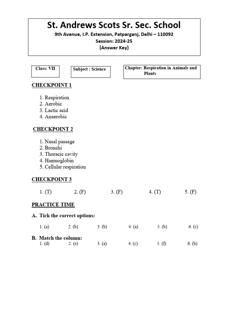Class 7, Science, Chapter 11 (Answer Key) | PDF | Respiratory System | Lung