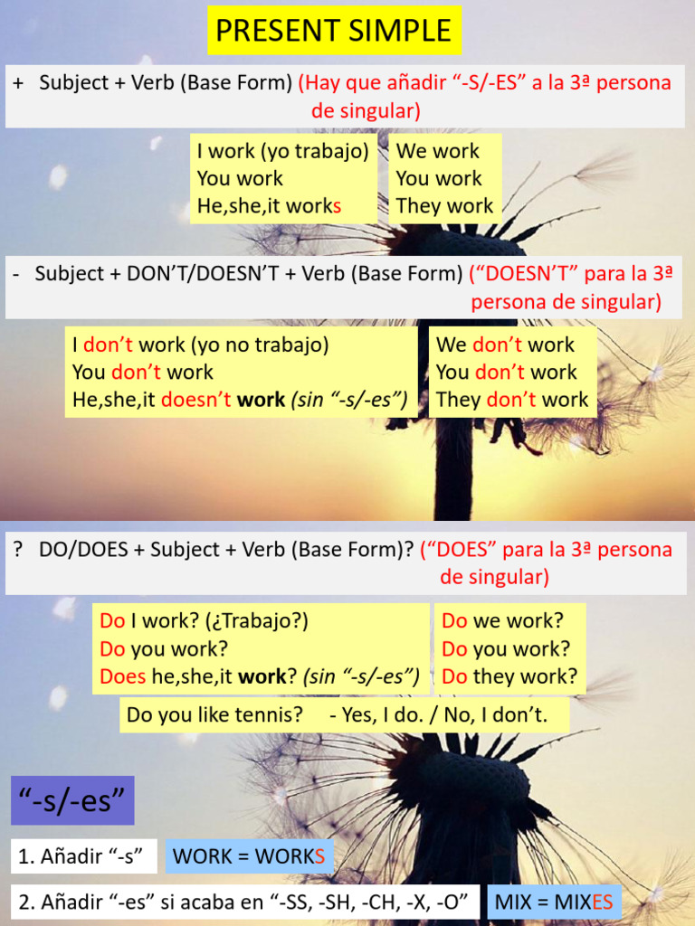 Present Simple - Adverbs of Frequency | PDF