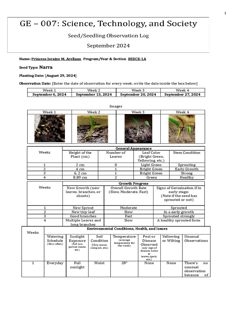 Narra Plant Growth Observation Report | PDF | Leaf | Seed
