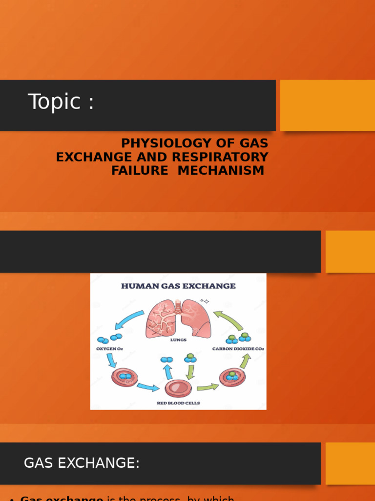 Gas Exchange Group 1 | PDF | Respiratory System | Blood