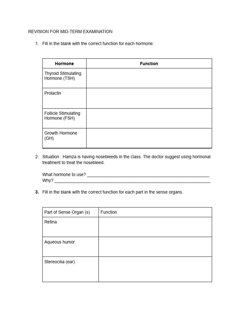 Revision For Mid-Term Examination | PDF