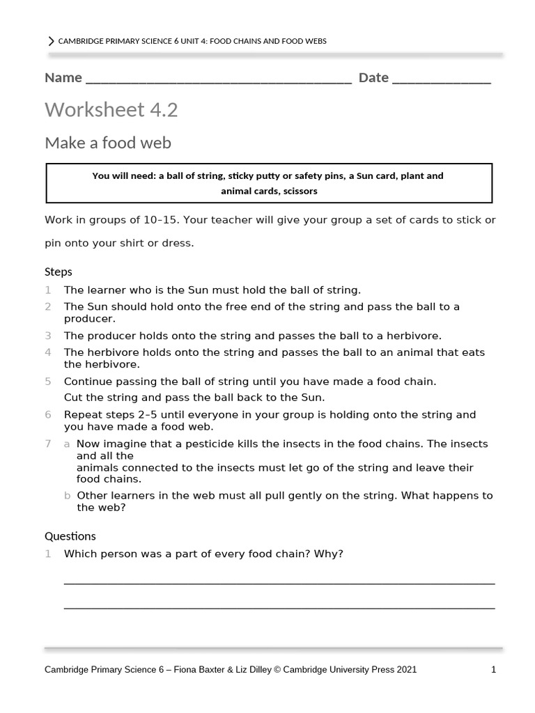 P - Science - 6 - Worksheets - Unit 4 | PDF | Foods | Food Web