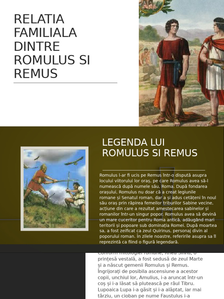 Proiect Romana 1 | PDF
