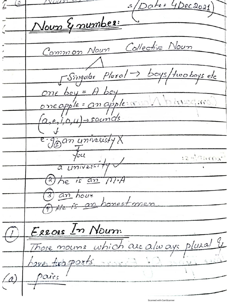 Lecture of Functional English | PDF