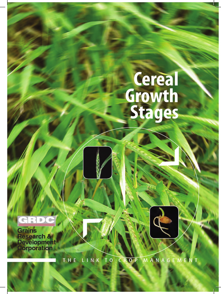 Cereal-growth-stages | PDF | Wheat | Cereals