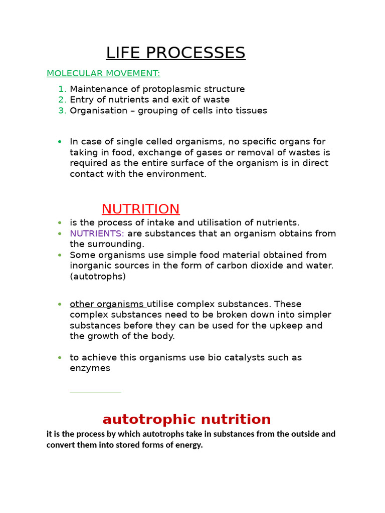 LIFE PROCESSES | PDF | Digestion | Stomach