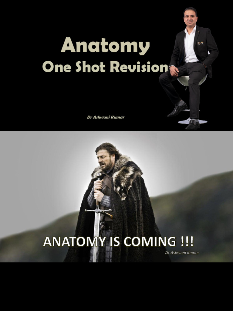 One Shot Anatomy | PDF | Thumb | Hand