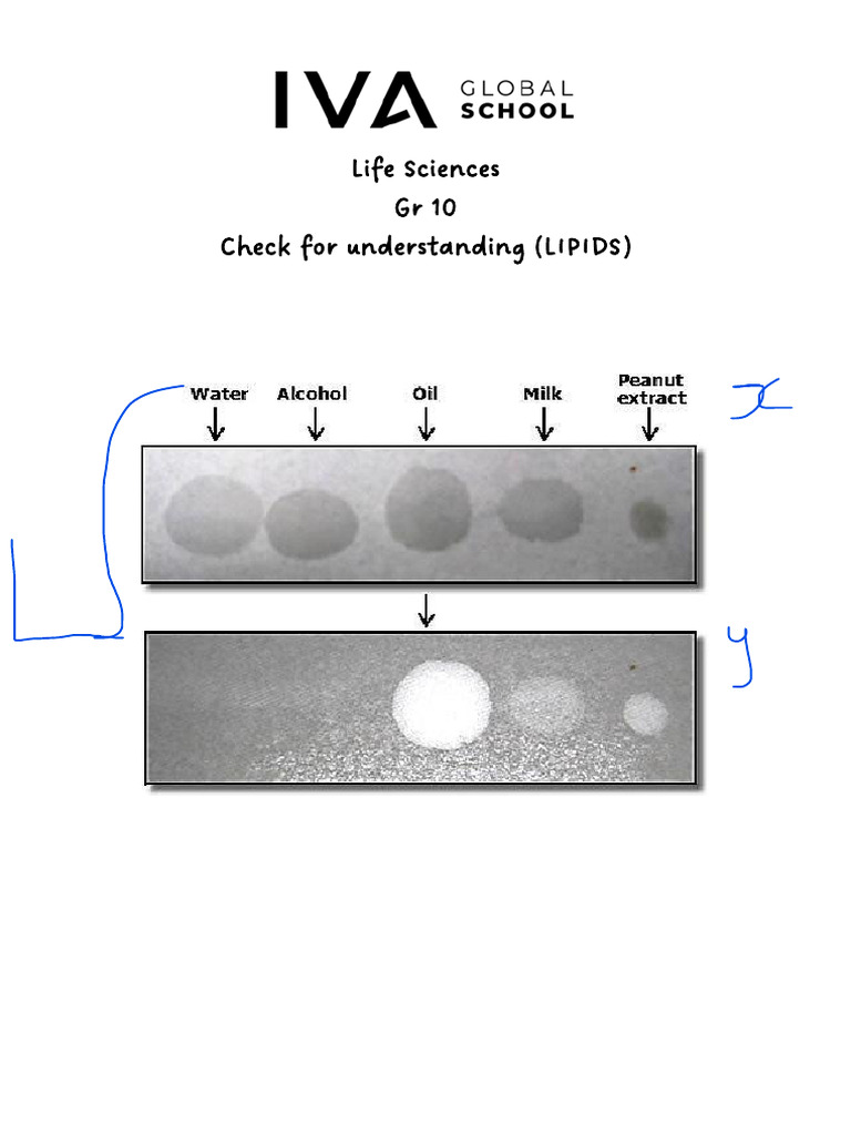 Check For Understading Lipids | PDF
