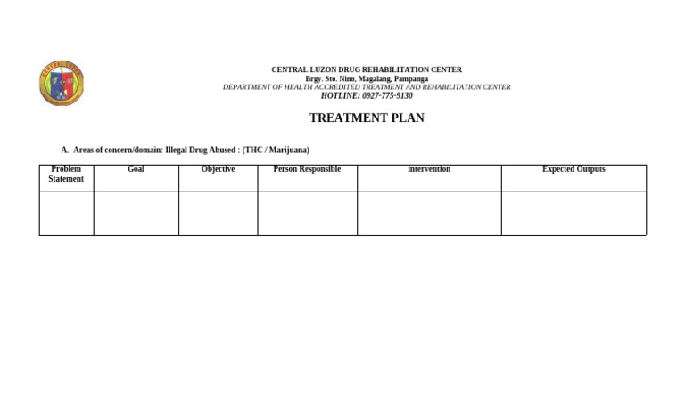 Treatment Plan Template | PDF