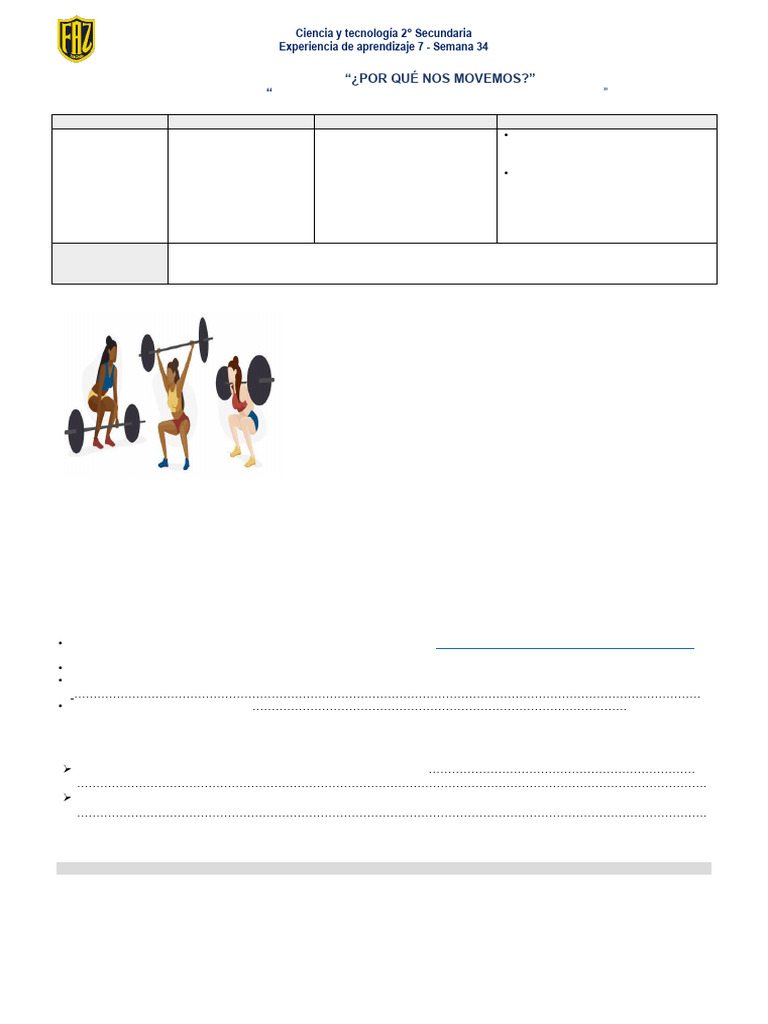 Actividad 4-U7 | PDF | Músculo | Sistema musculoesquelético