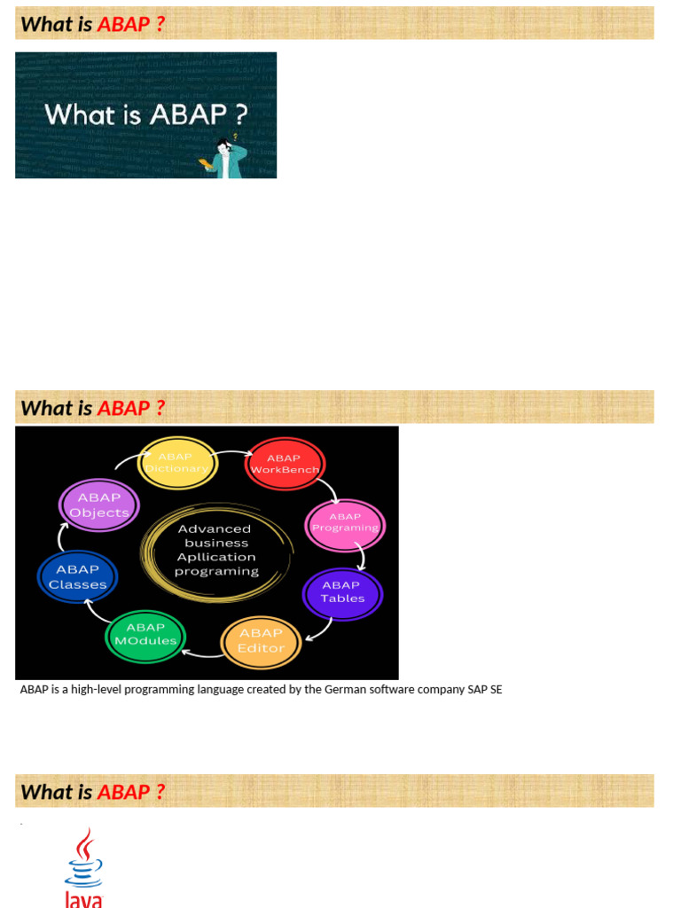 04 What Is ABAP | PDF | Programming Paradigms | Computing