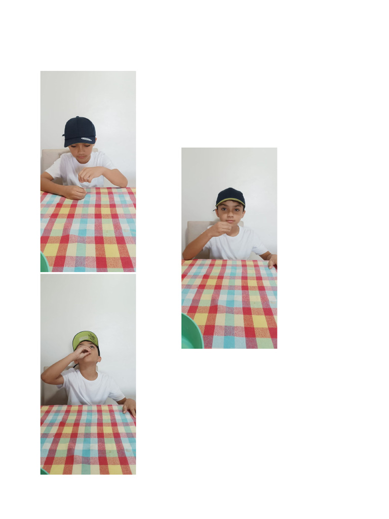 Documento (Miguel) | PDF