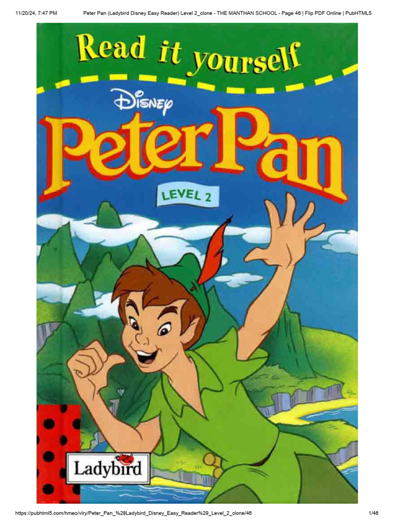 Peter Pan Level 2 | PDF | Computer Standards | Application Software