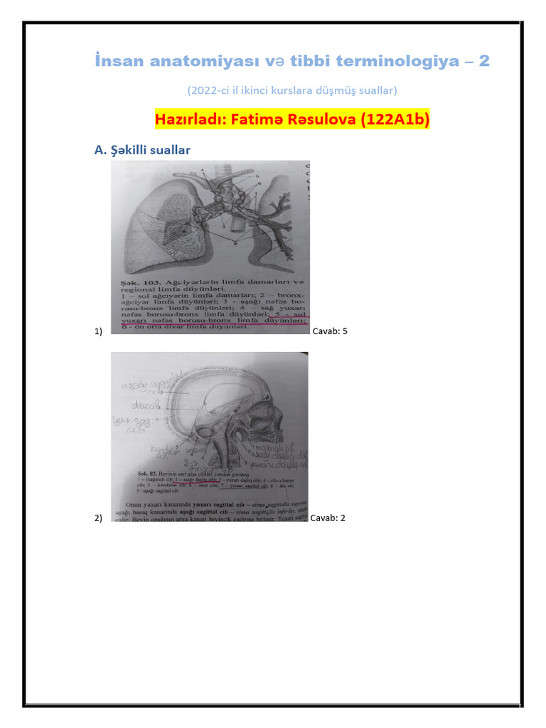 Anat (2022) - Fatimə Rəsulova | PDF