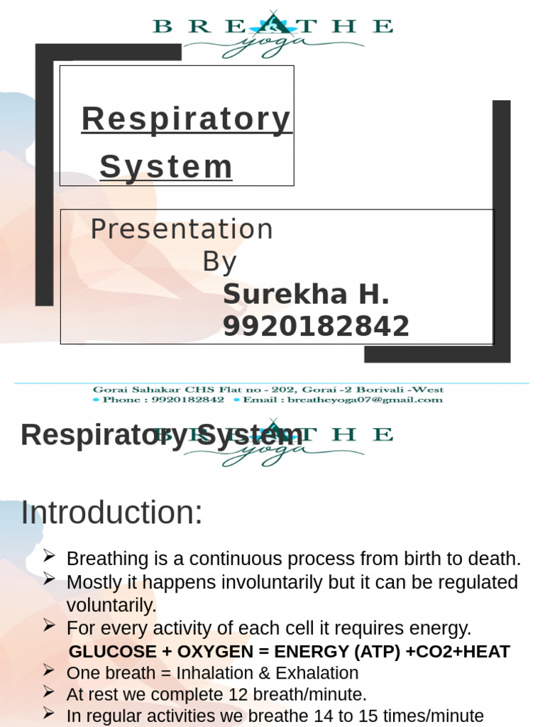 Respiratory System | PDF | Breathing | Respiratory System