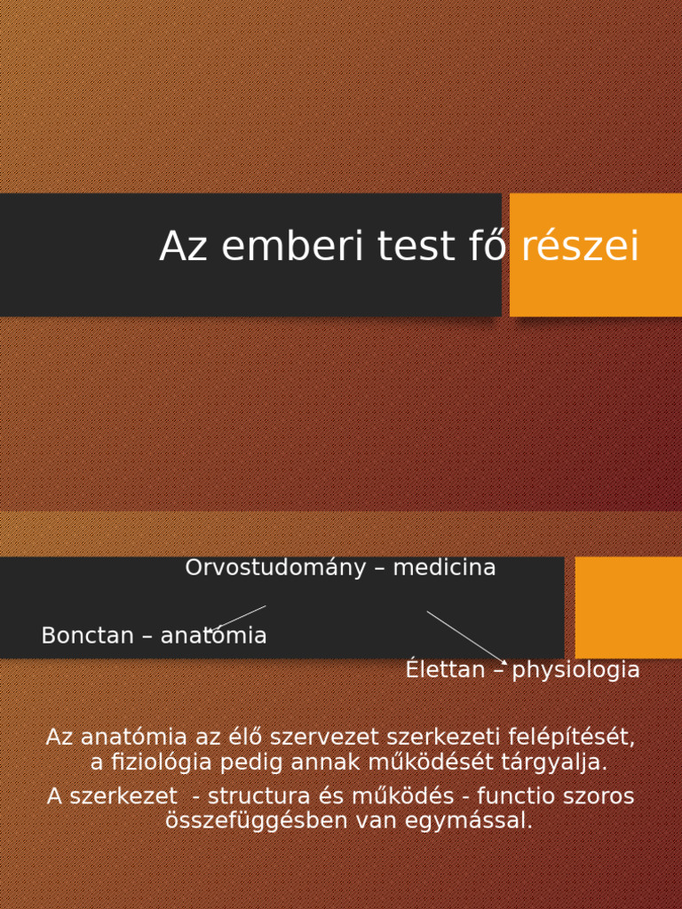 Az Emberi Test Fő Részei - Latin | PDF