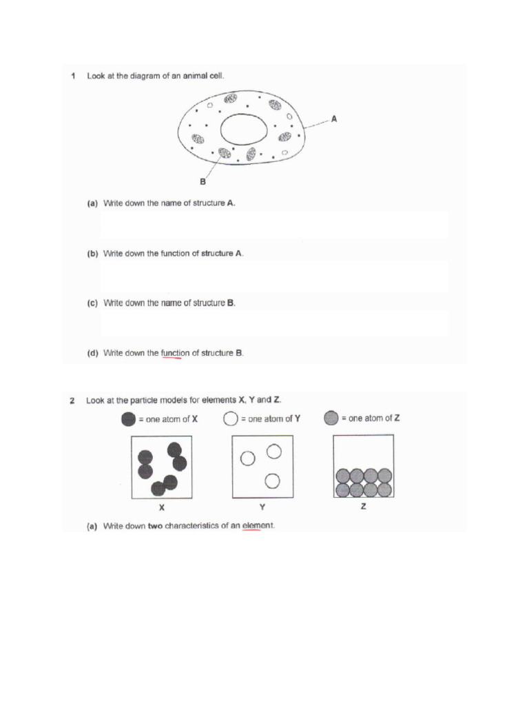 Science Prep 2 | PDF