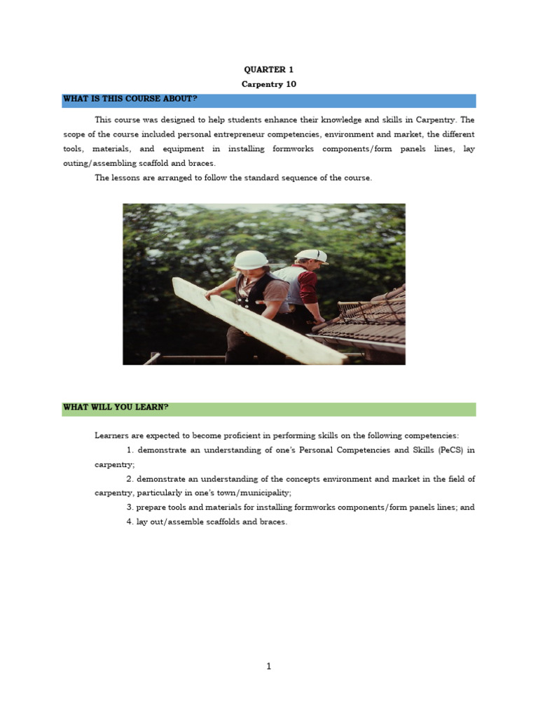 LMCarpentryLesson1 22024 2025 | PDF | Scaffolding | Entrepreneurship