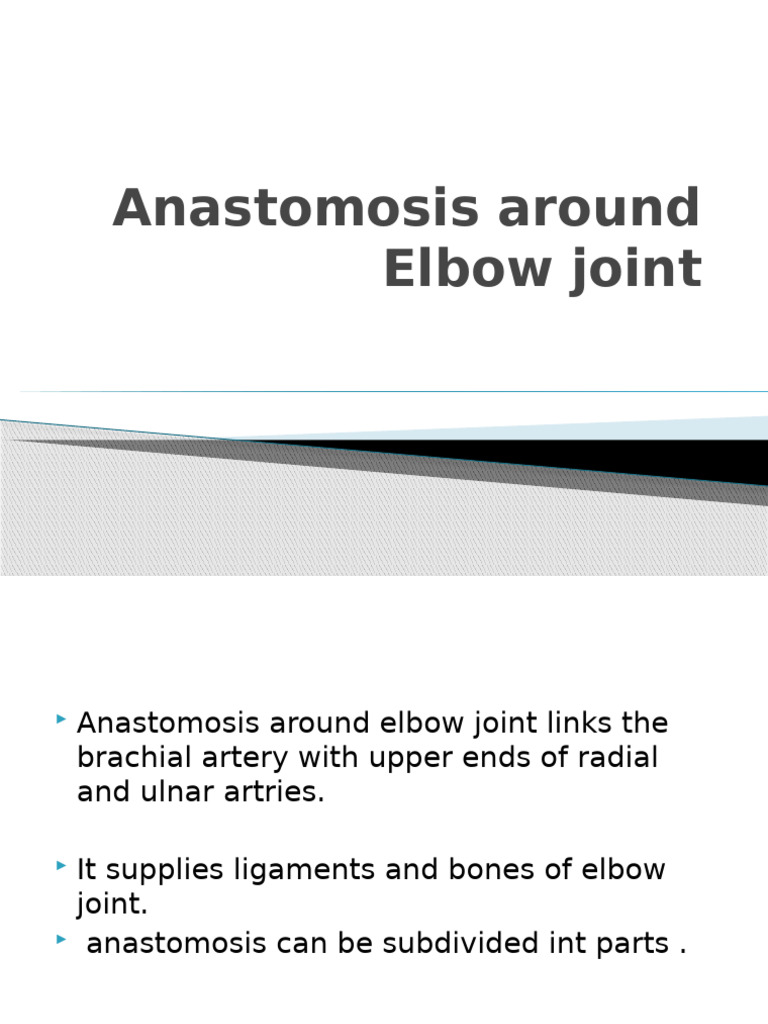 Anastomosis Around Elbow Joint | PDF
