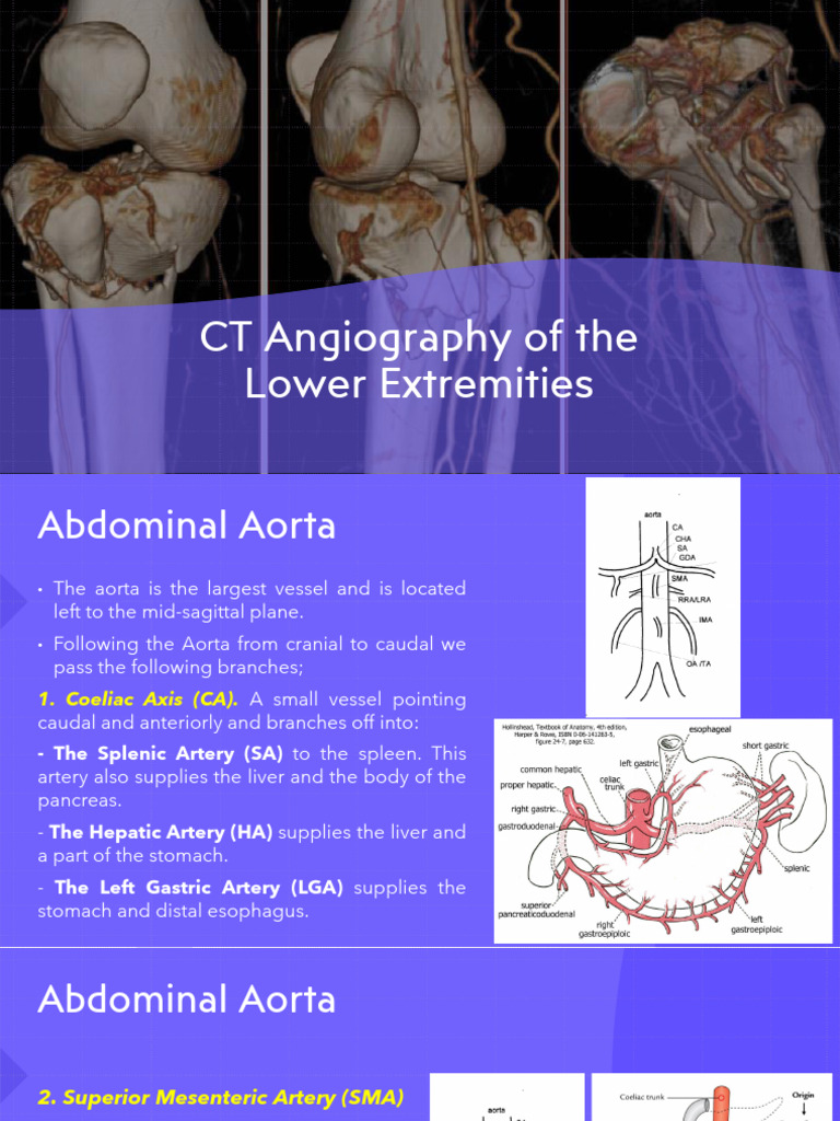 CT Angiography of The Lower Extremities | PDF | Cardiovascular System ...
