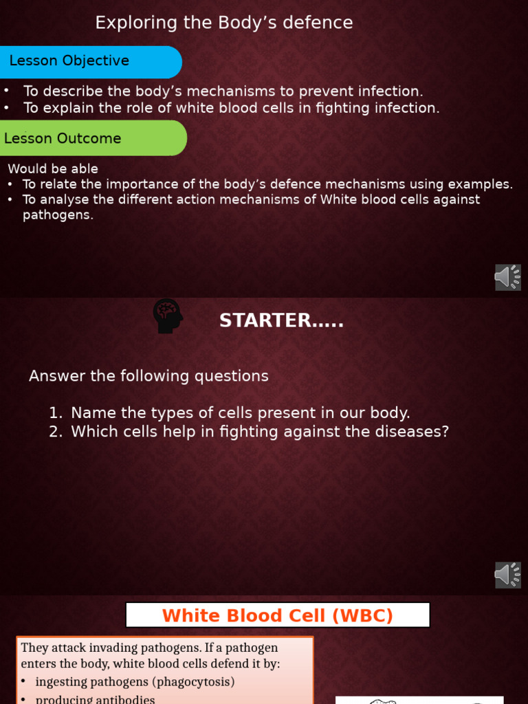 Year 9 Biology Recorded Lesson 29th April | PDF | Phagocyte | Antibody