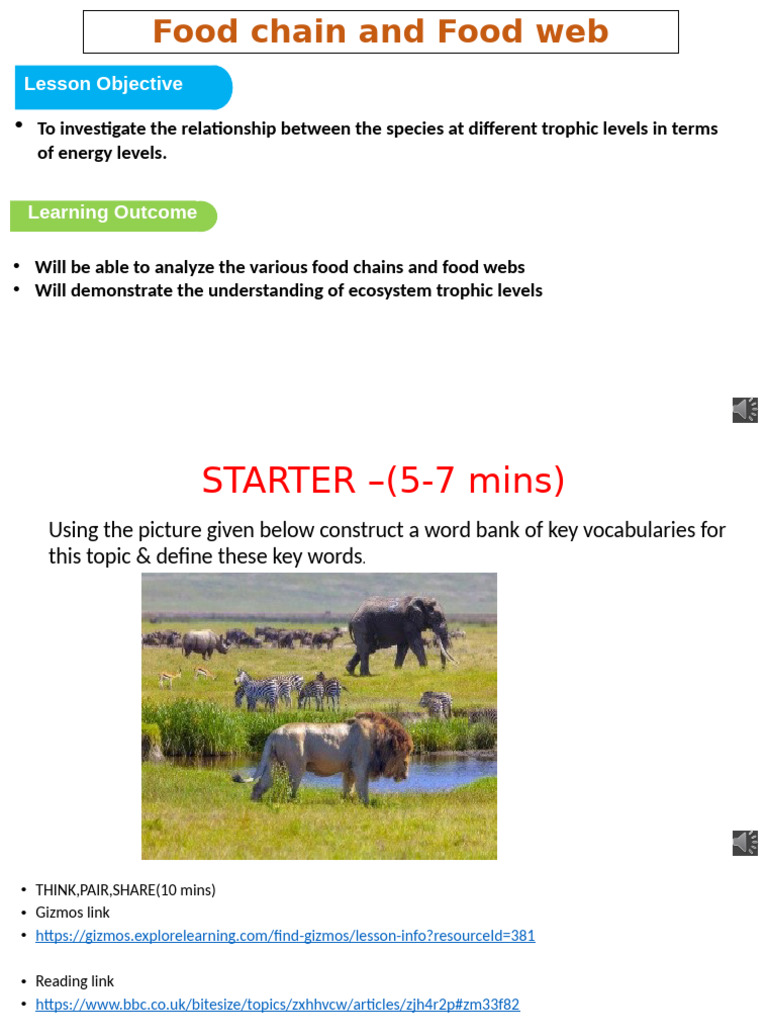 Understanding Food Chains and Webs | PDF