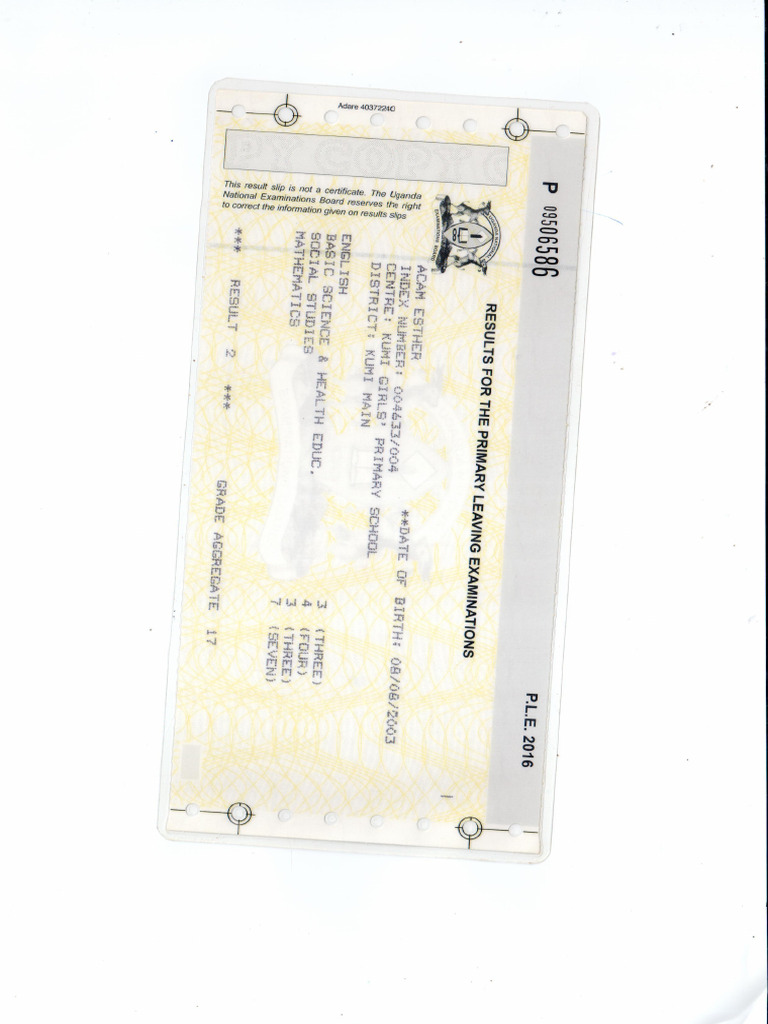 Ple Result Slip | PDF