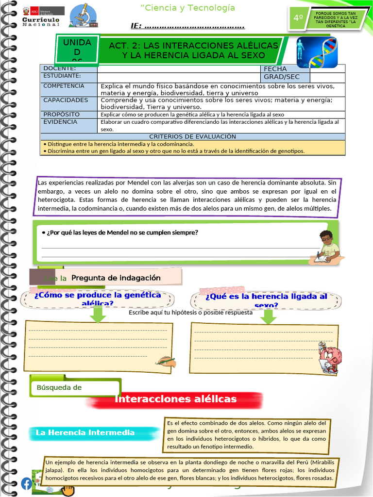 B-4º Act 2-Cyt-Und 6 | PDF | Alelo | Dominancia (Genética)