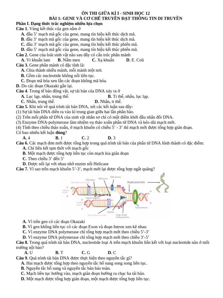 Ôn GK I - Sinh 12 - HS | PDF