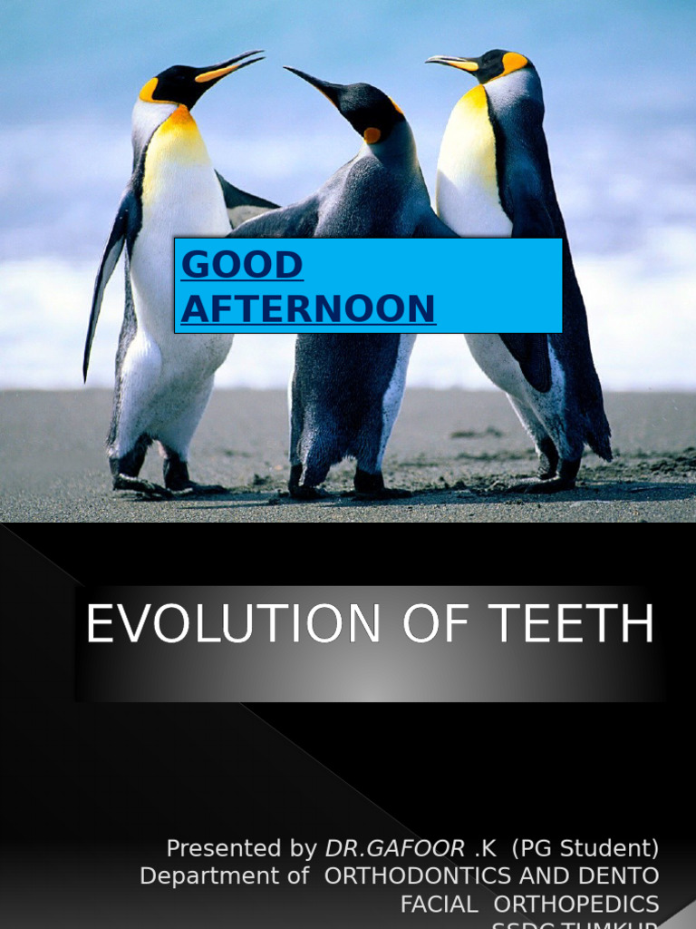 Evolution of Teeth 002 | PDF | Tooth | Dental Anatomy