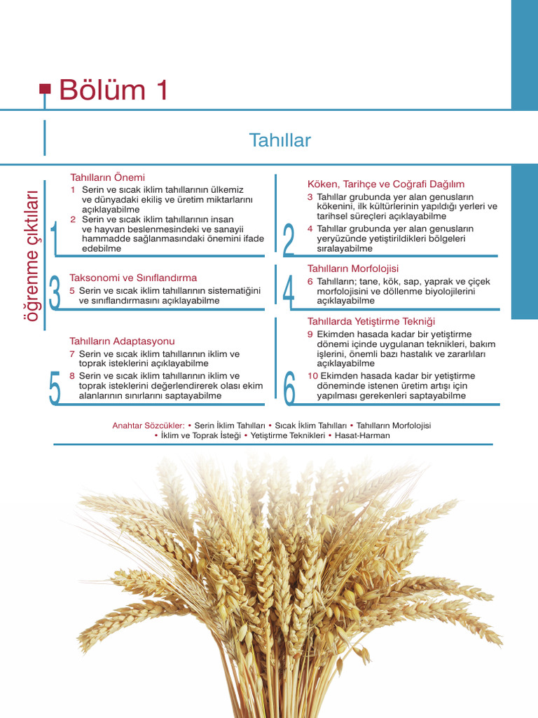 Tarla Bitkileri Unite 1 | PDF