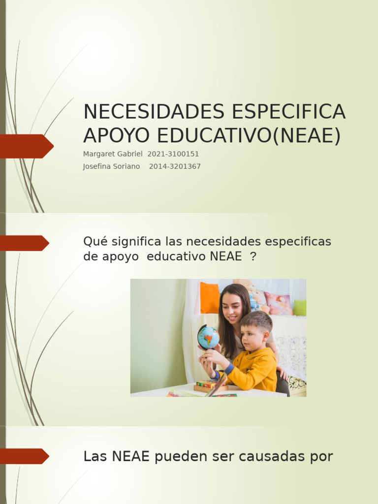 Necesidades Especifica Apoyo Educativo (Neae) | PDF