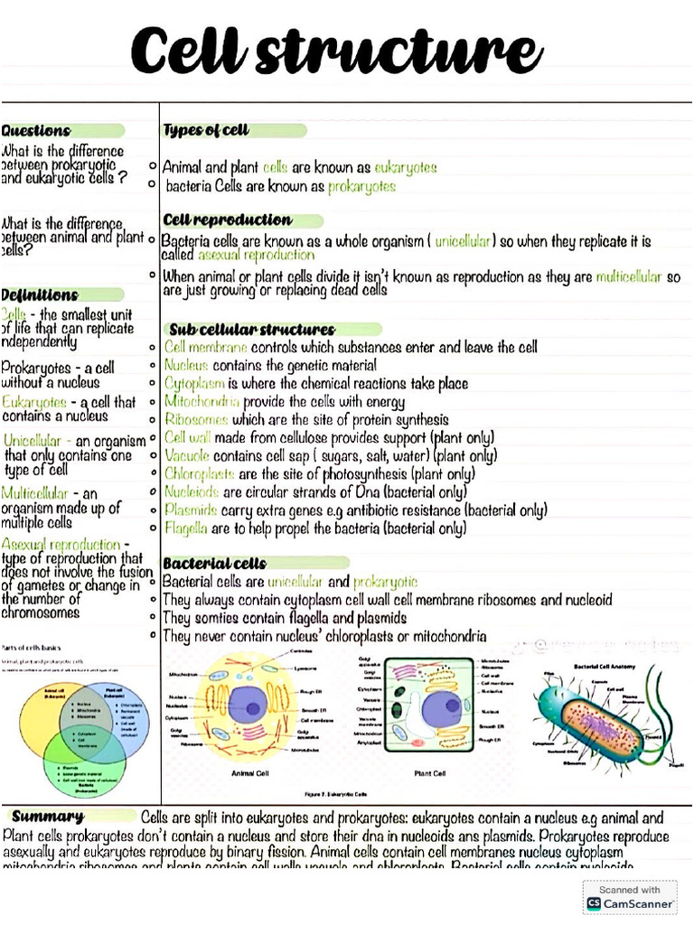 Cell Structure PDF | PDF