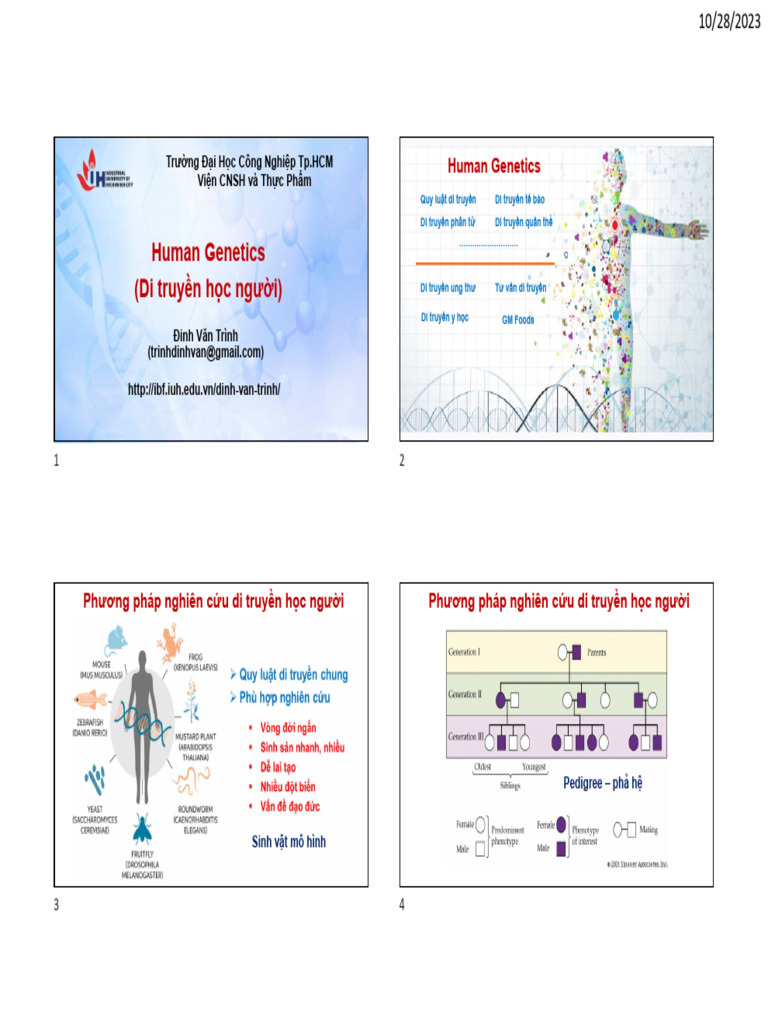 Chapter 10 - Human Genetics | PDF